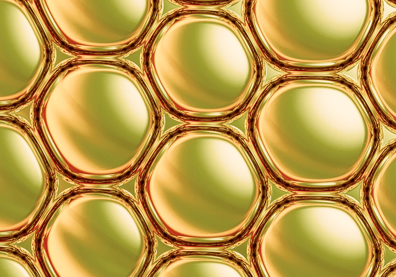 CE15 Bakuchiol Firming Oil | Allies of Skin